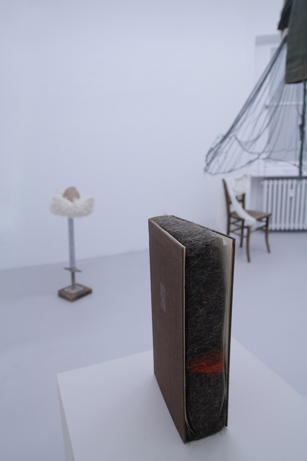 barbara caveng - Galerie Mönch